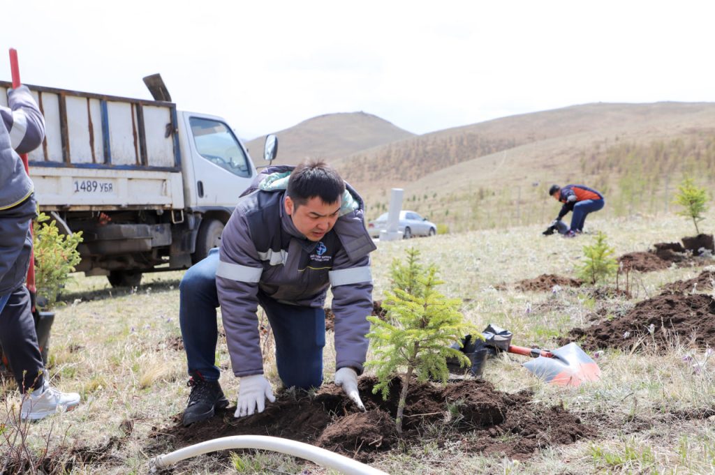 Ээлжит хаврын мод тарих аян өрнөлөө